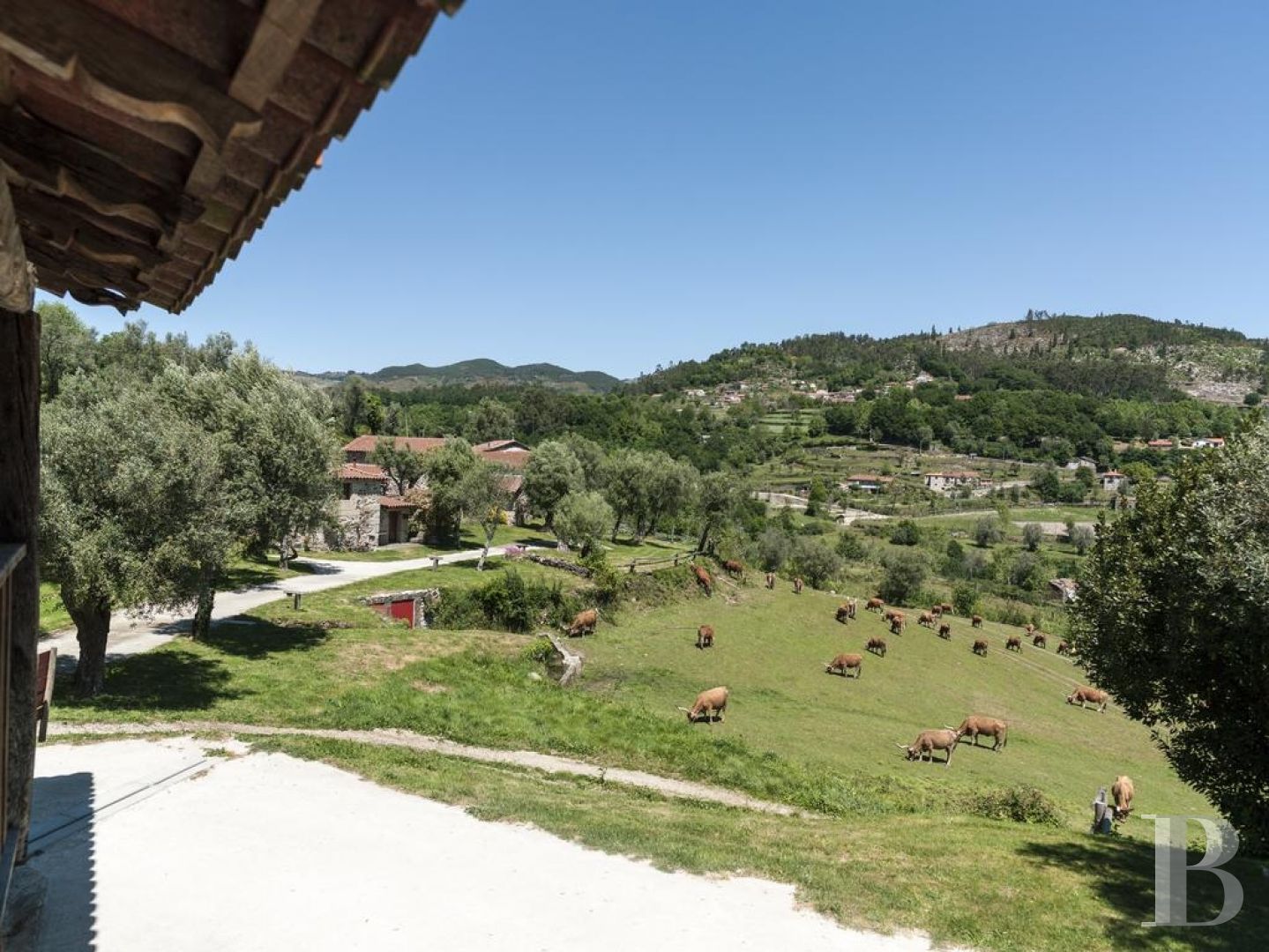 Patrice Besse - Gîte - Nord et Porto - Au nord du Portugal, à ...